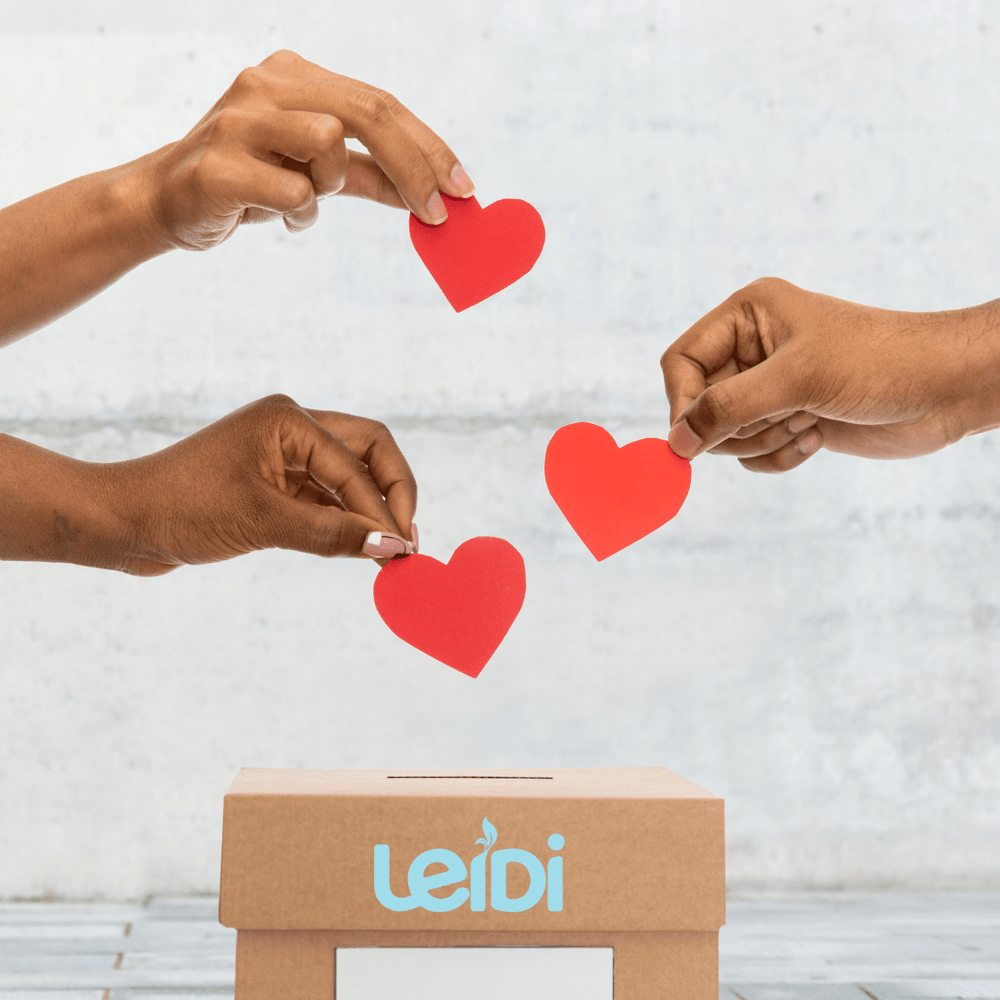 Leidi hair - Mèches à tresser végétales